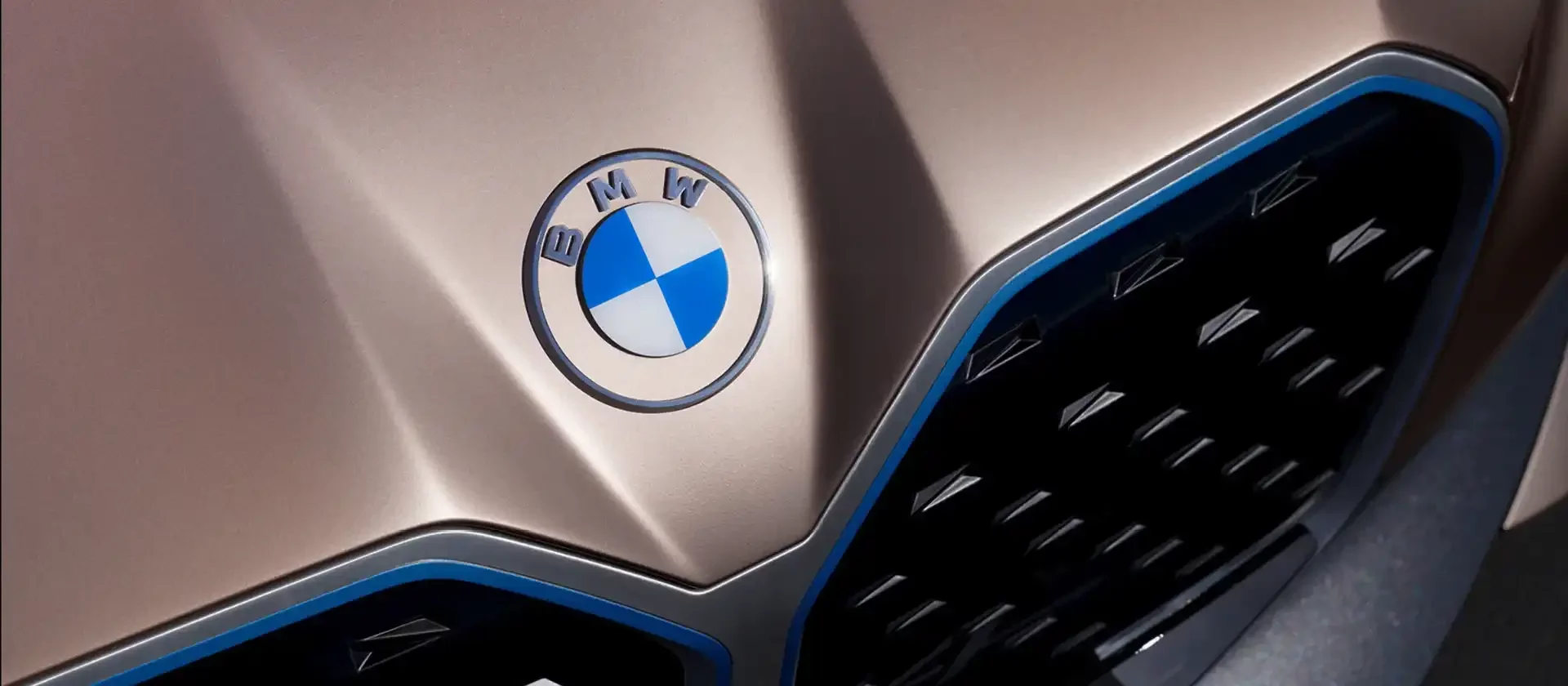 Sample Film Treatment | The Collective Pitch